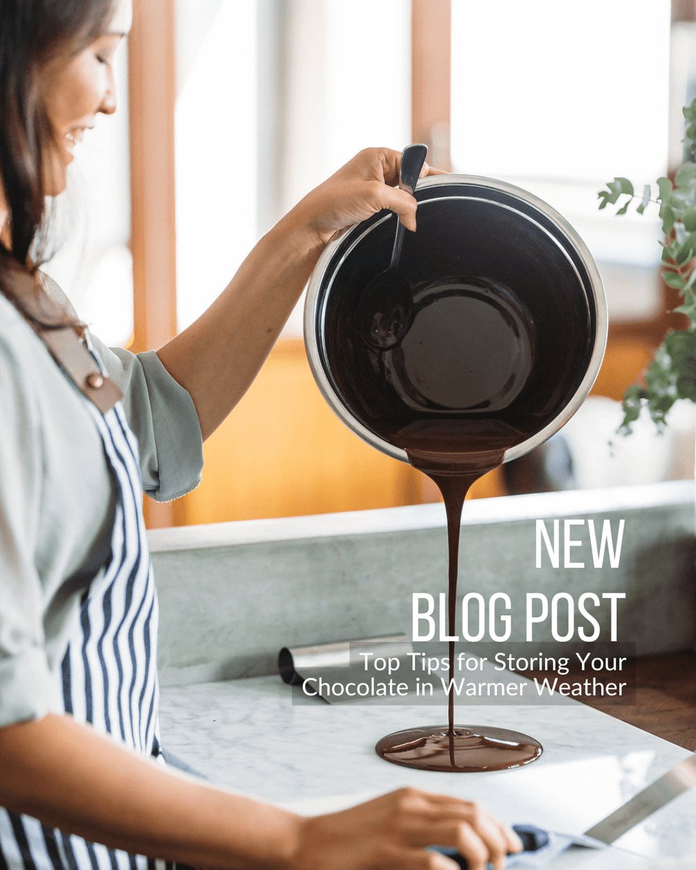 Melting Point: Essential Chocolate Storage Tips You Need to Know - The ...